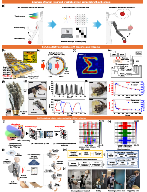 Soft sensory-neuromorphic system for closed-loop neuroprostheses ...