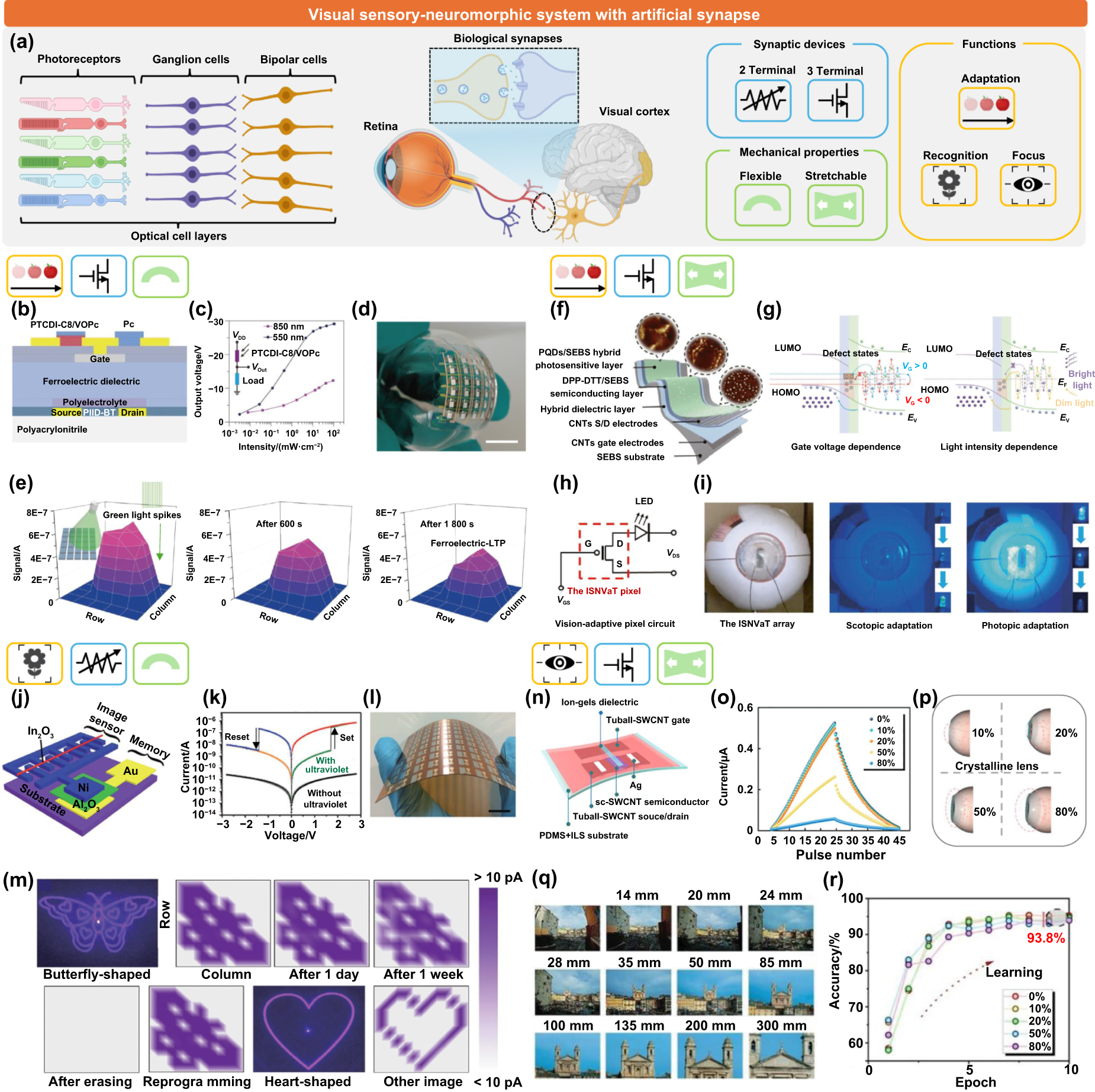 Soft sensory-neuromorphic system for closed-loop neuroprostheses ...