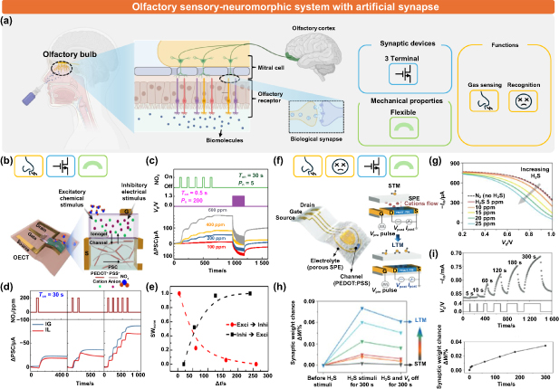 Soft sensory-neuromorphic system for closed-loop neuroprostheses ...