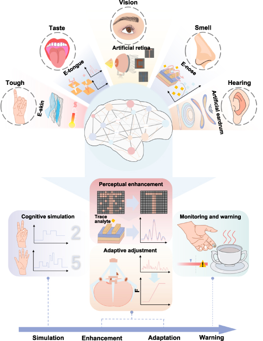 Integration of AI with artificial sensory systems for multidimensional ...