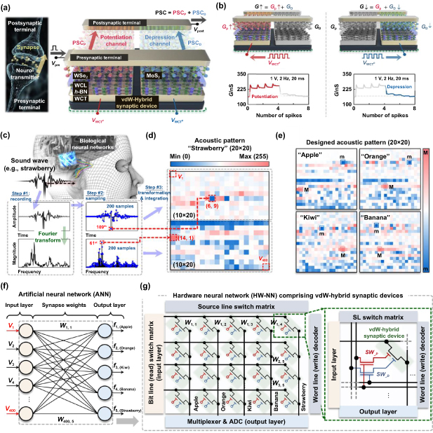 Recent progress of neuromorphic sensory and optoelectronic systems ...