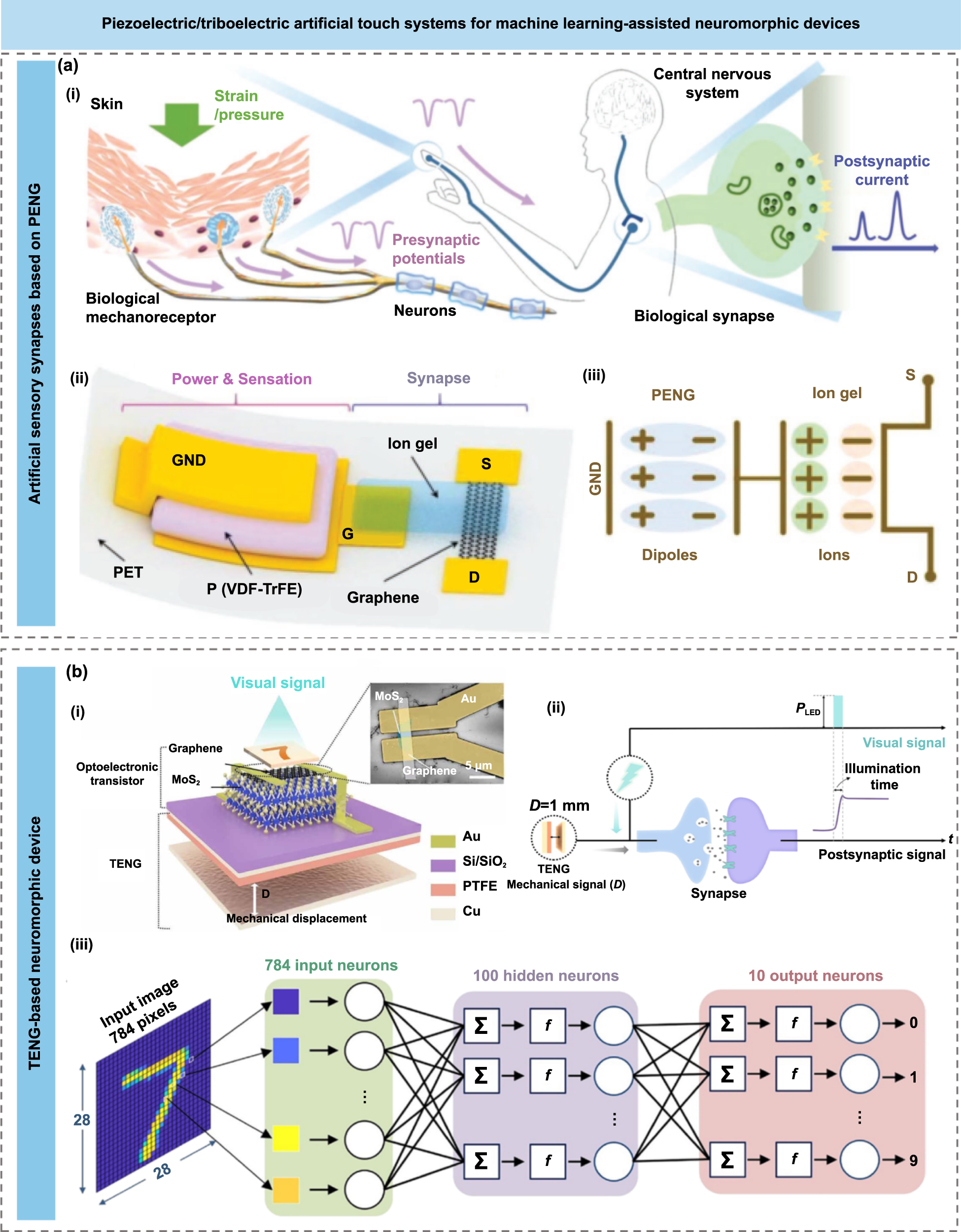 Neuromorphic devices assisted by machine learning algorithms - IOPscience