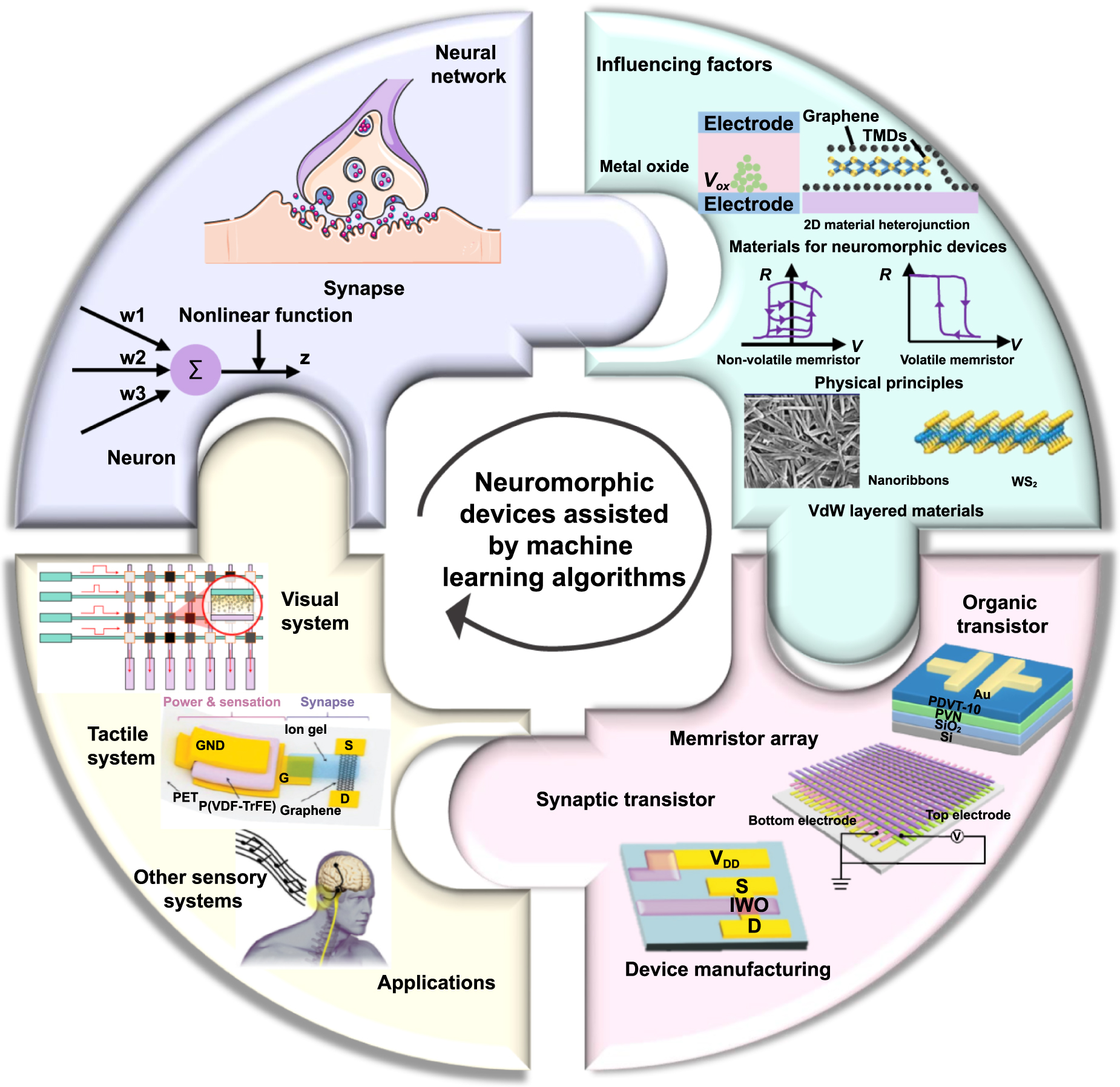 Neuromorphic devices assisted by machine learning algorithms - IOPscience