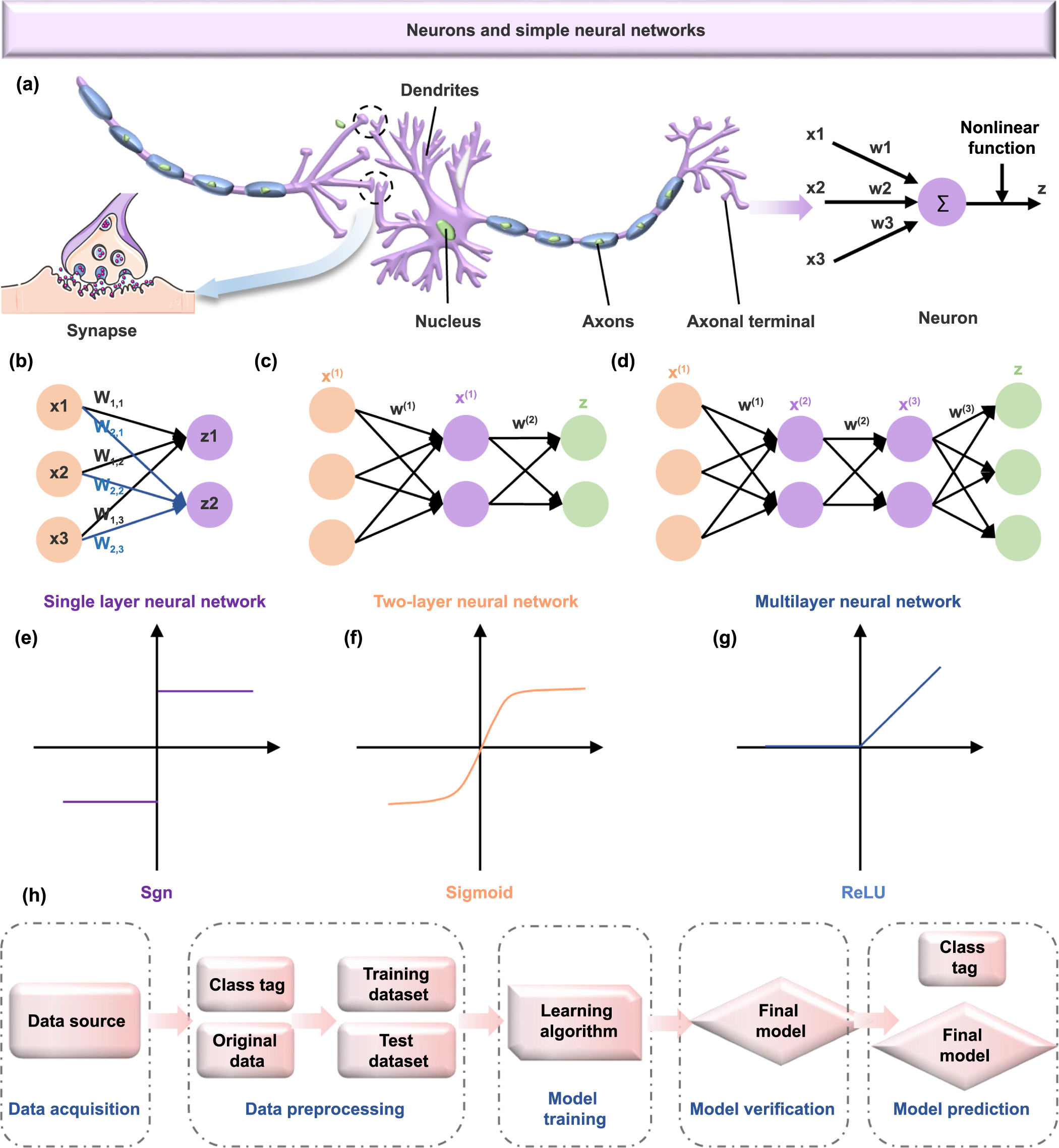 Neuromorphic devices assisted by machine learning algorithms - IOPscience