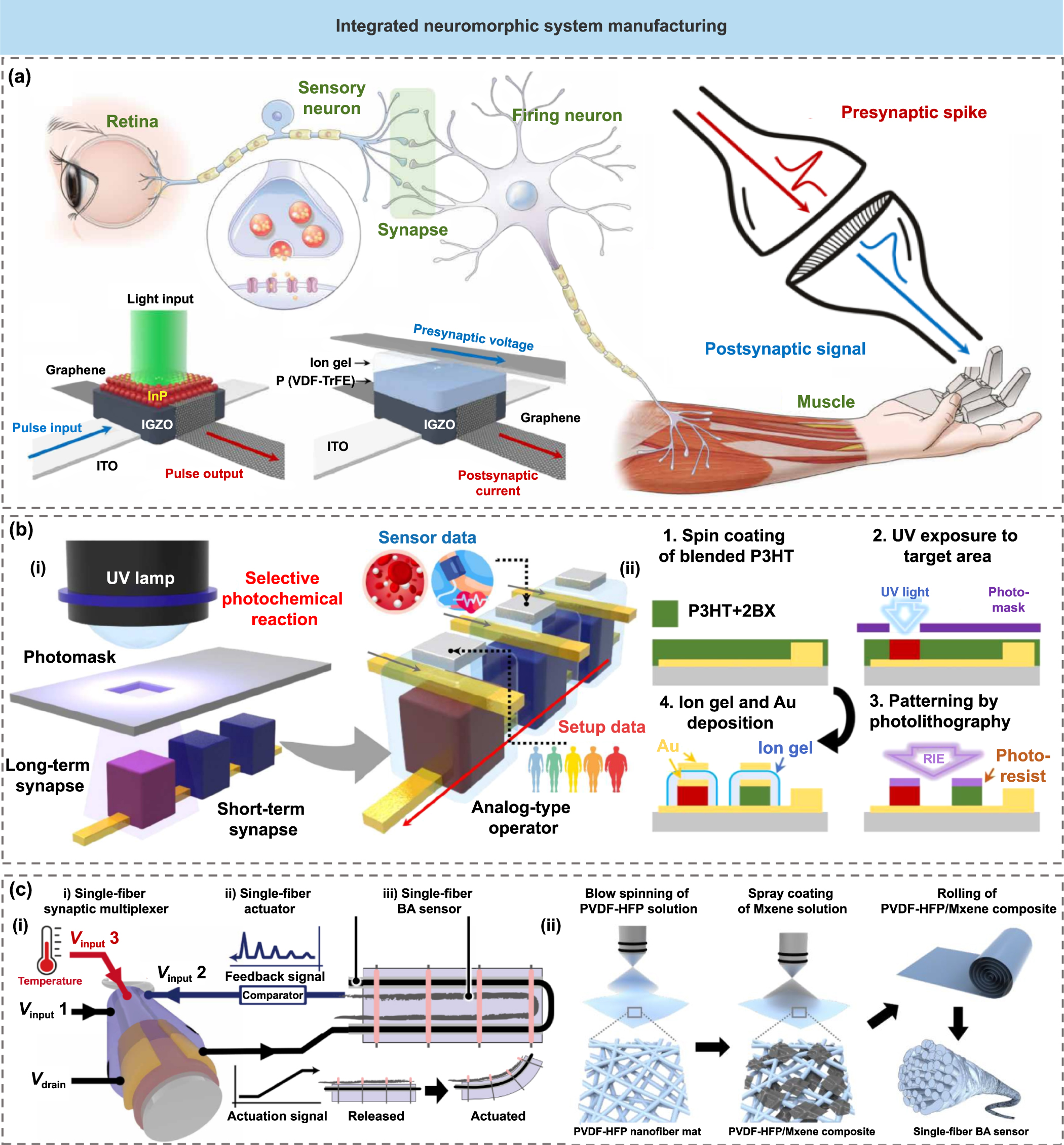 Neuromorphic devices assisted by machine learning algorithms - IOPscience