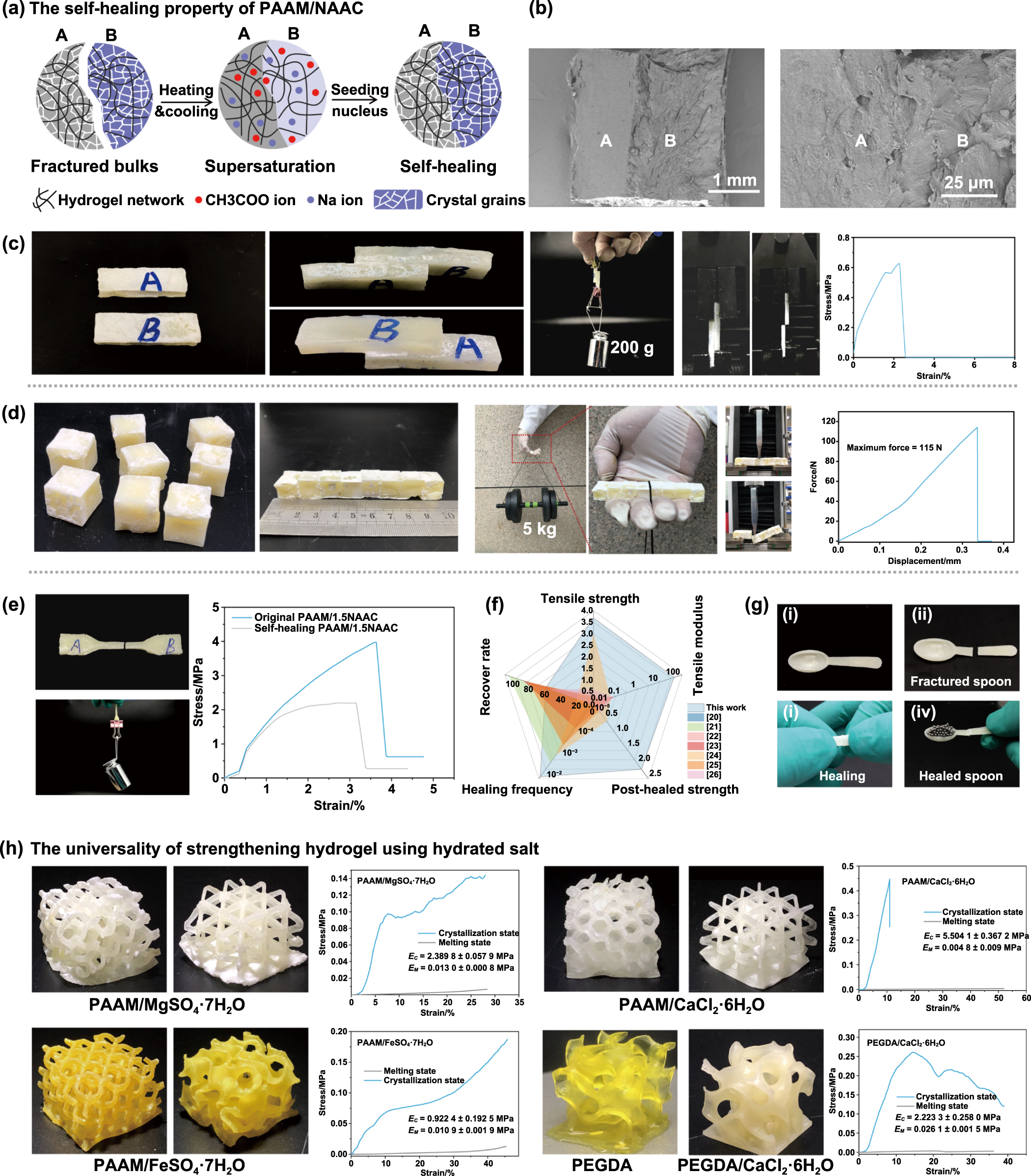 3D printing of hard/soft switchable hydrogels - IOPscience