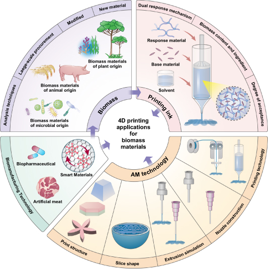 Biomass materials and their application in 4D printing - IOPscience