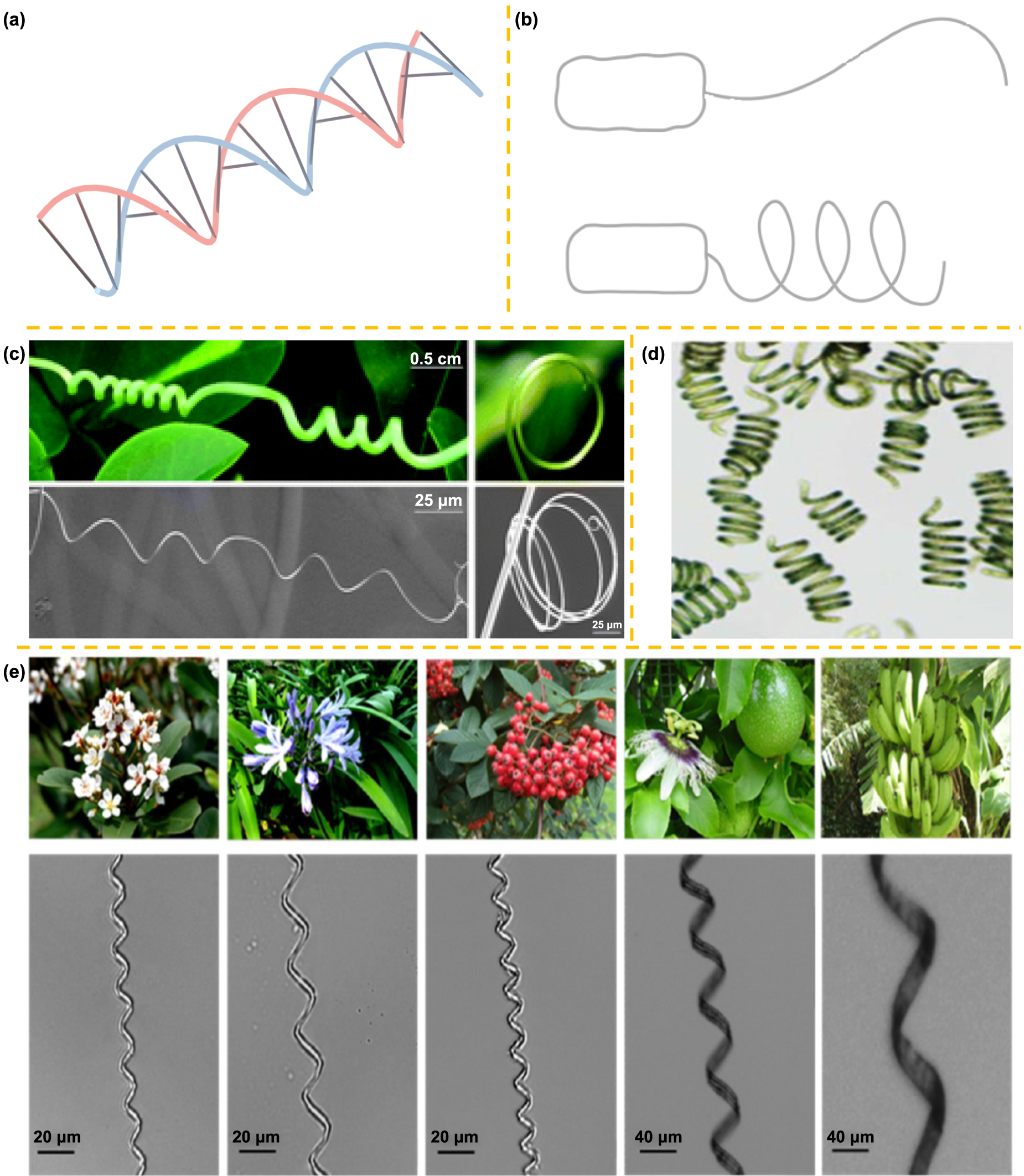 Advanced manufacturing techniques and applications of micro-/nanoscale ...