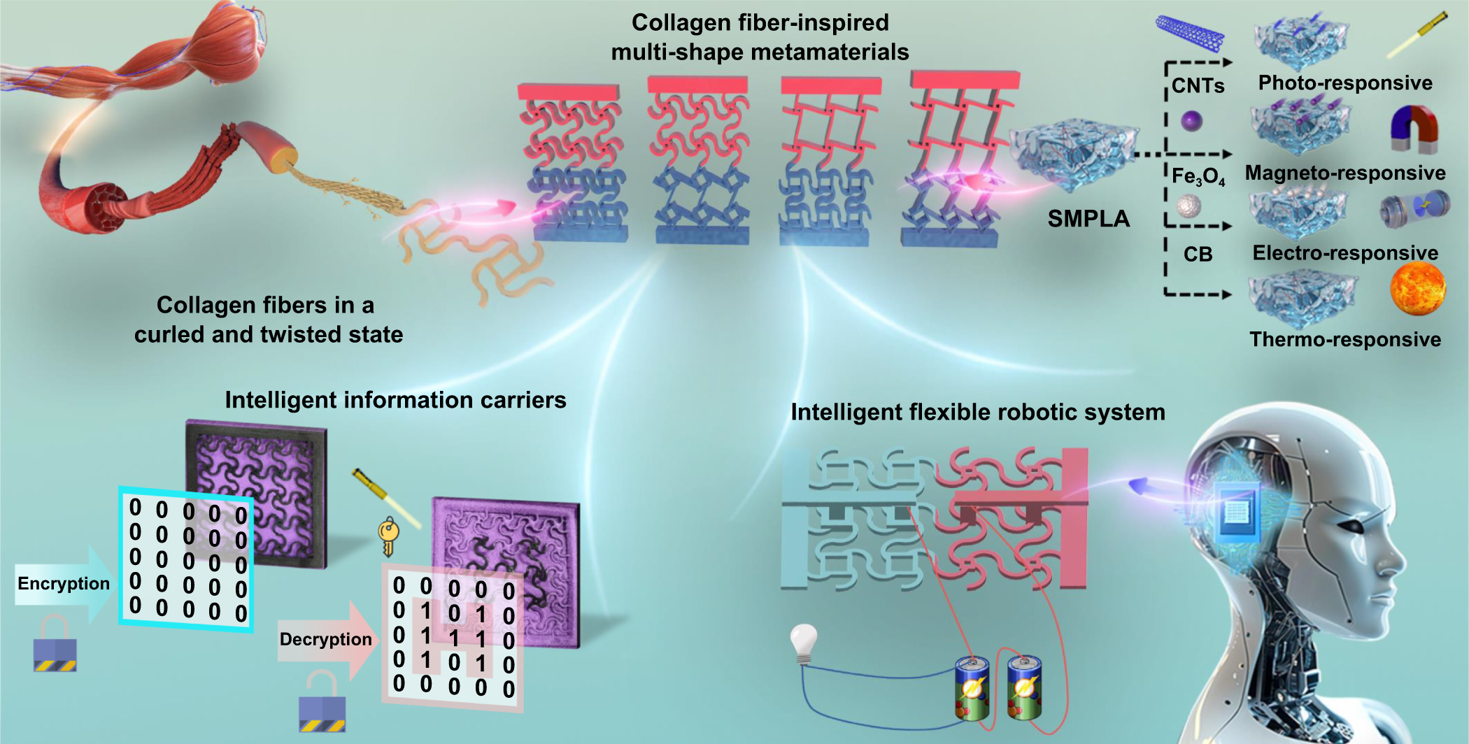 Highly programmable 4D printed multi-shape gradient metamaterials and multifunctional devices ...