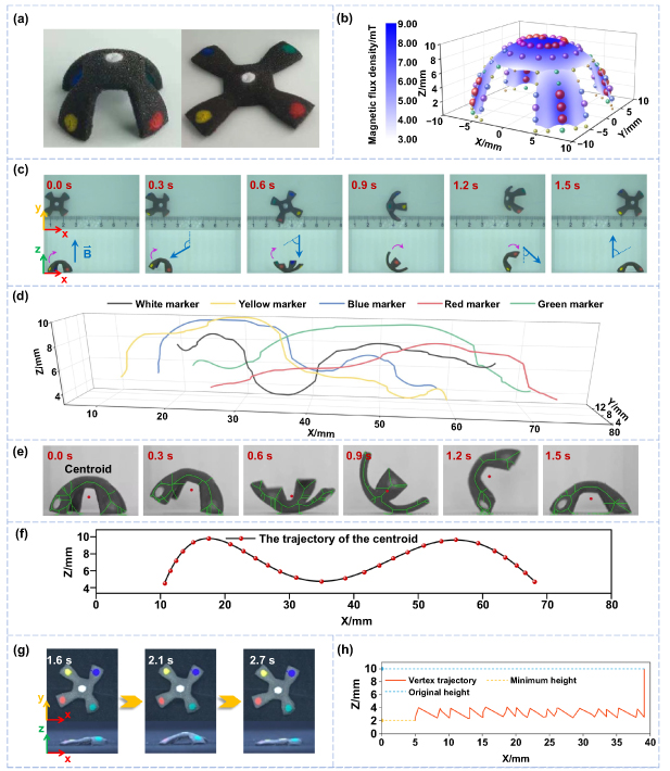 Magneto-soft robots based on multi-materials optimizing and heat ...