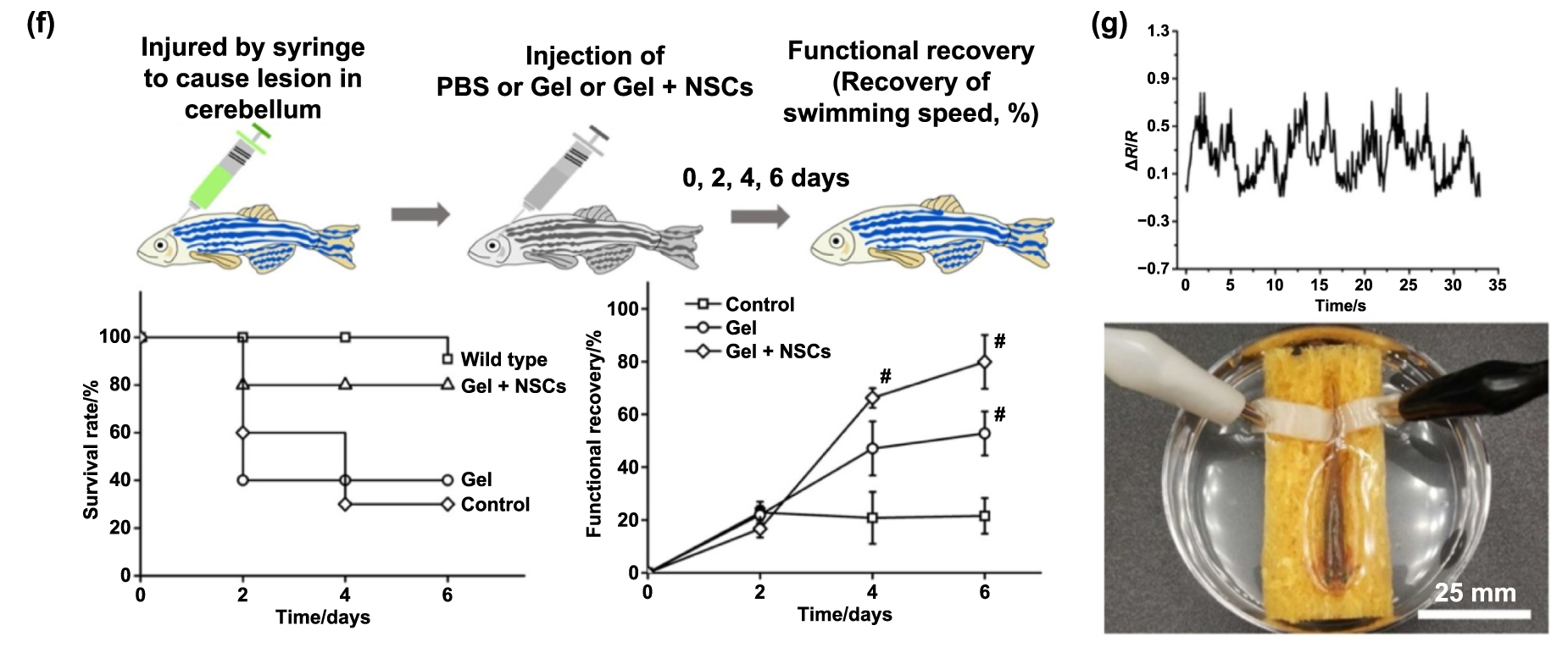 Hydrogel fabrication techniques for advanced artificial sensory systems ...