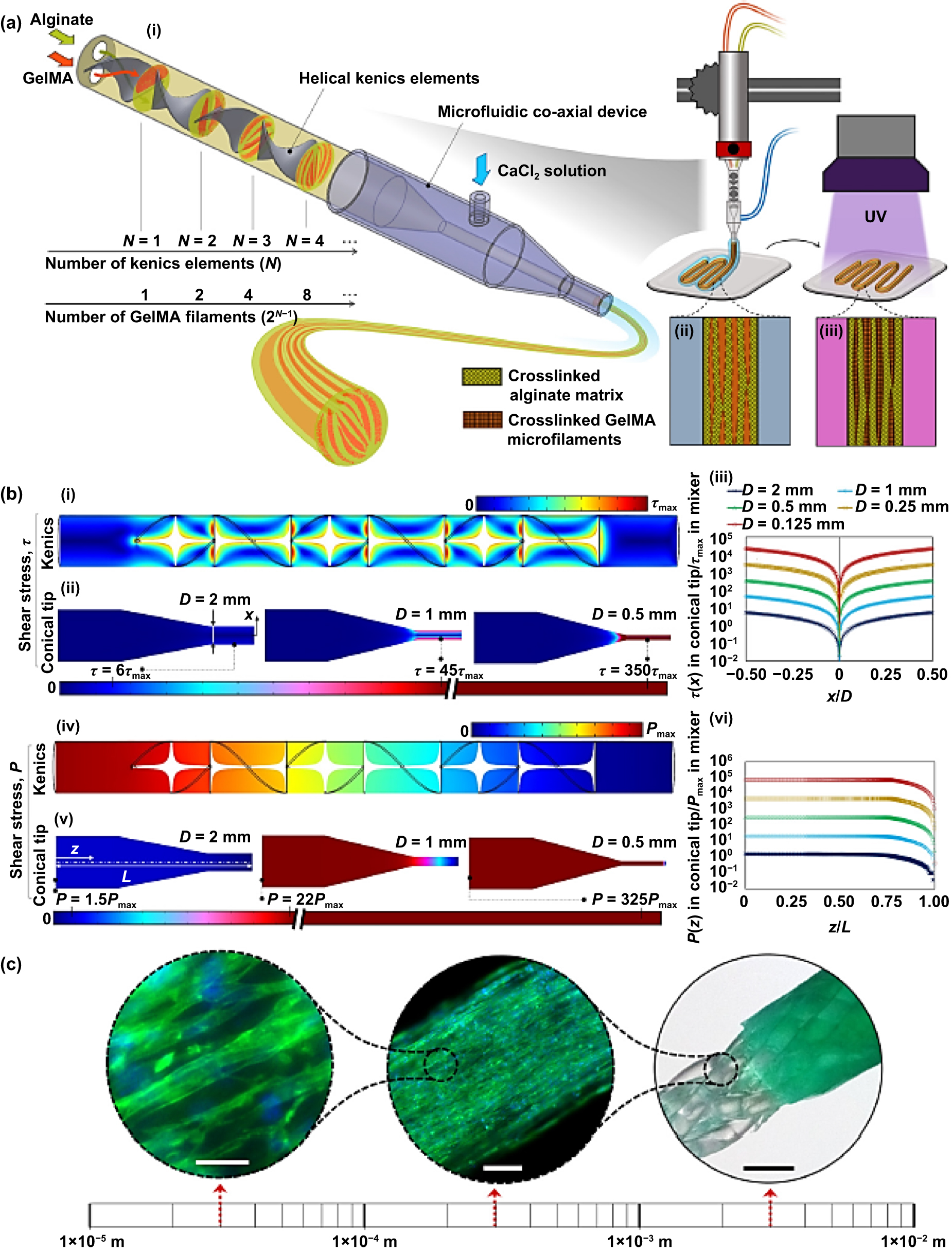 Advanced bioprinting strategies for fabrication of biomimetic tissues ...