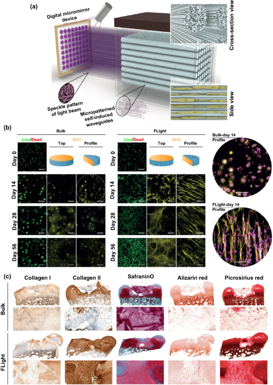 Advanced bioprinting strategies for fabrication of biomimetic tissues ...
