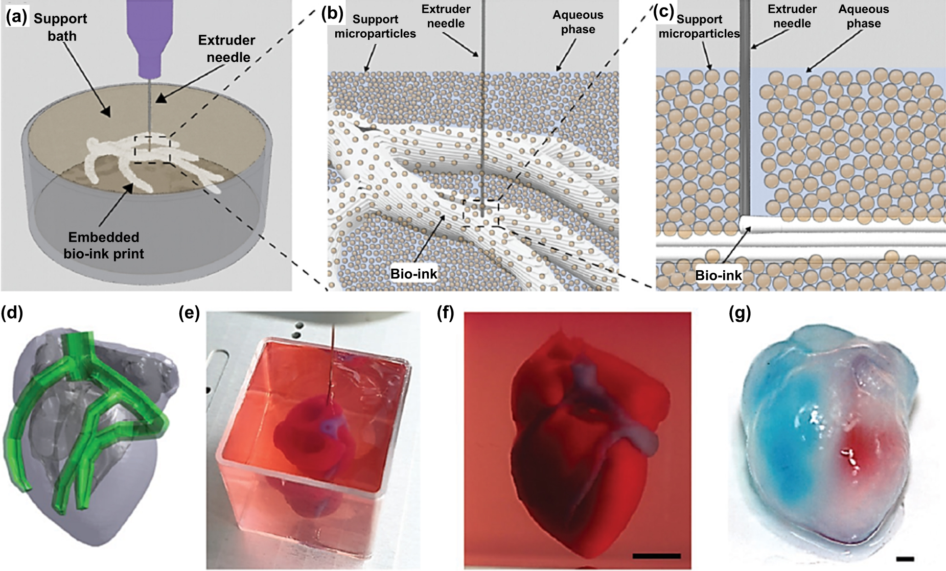 Advanced bioprinting strategies for fabrication of biomimetic tissues ...