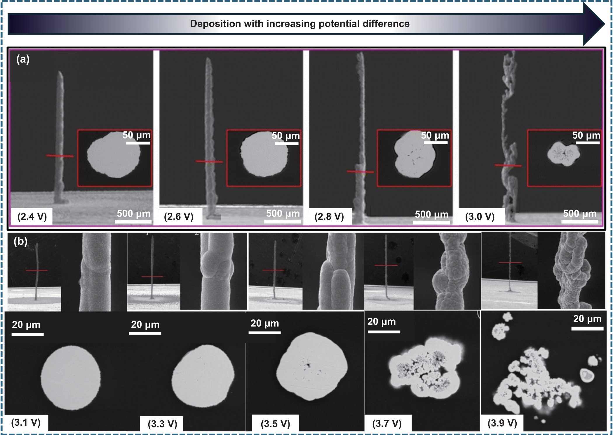Frontiers in atomic-level manufacturing: atomic-scale electrochemical ...
