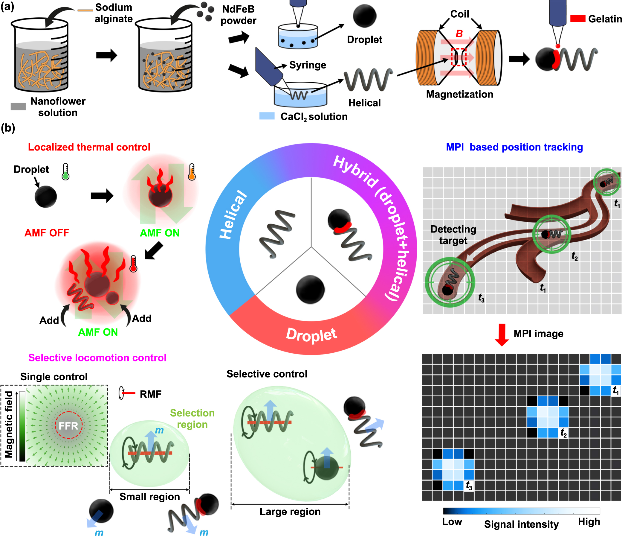 Fabrication of MPI-traceable alginate magnetic millirobots with multimodal selective-locomotion ...