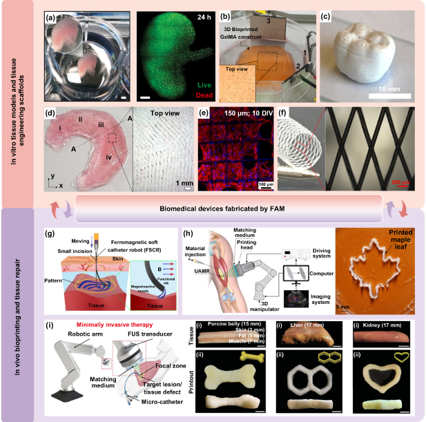 External-field-assisted additive manufacturing for micro/nano device ...