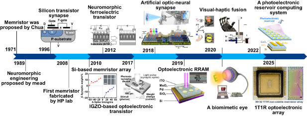 Neuromorphic devices for intelligent visual perception - IOPscience