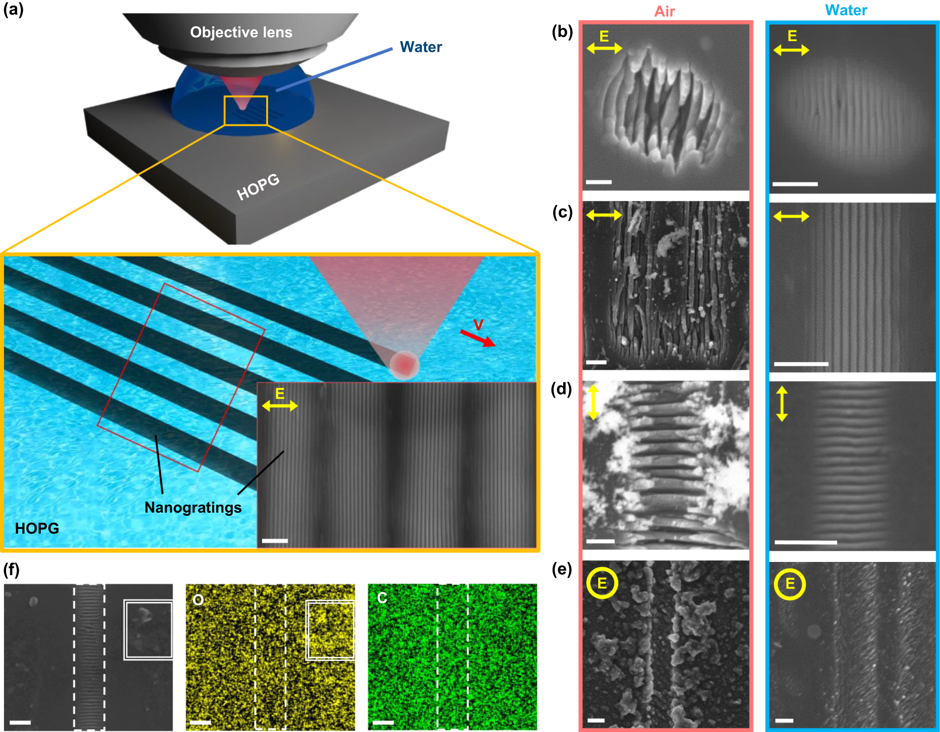 Femtosecond laser-induced sub-50-nm period nanogratings with ultrahigh ...
