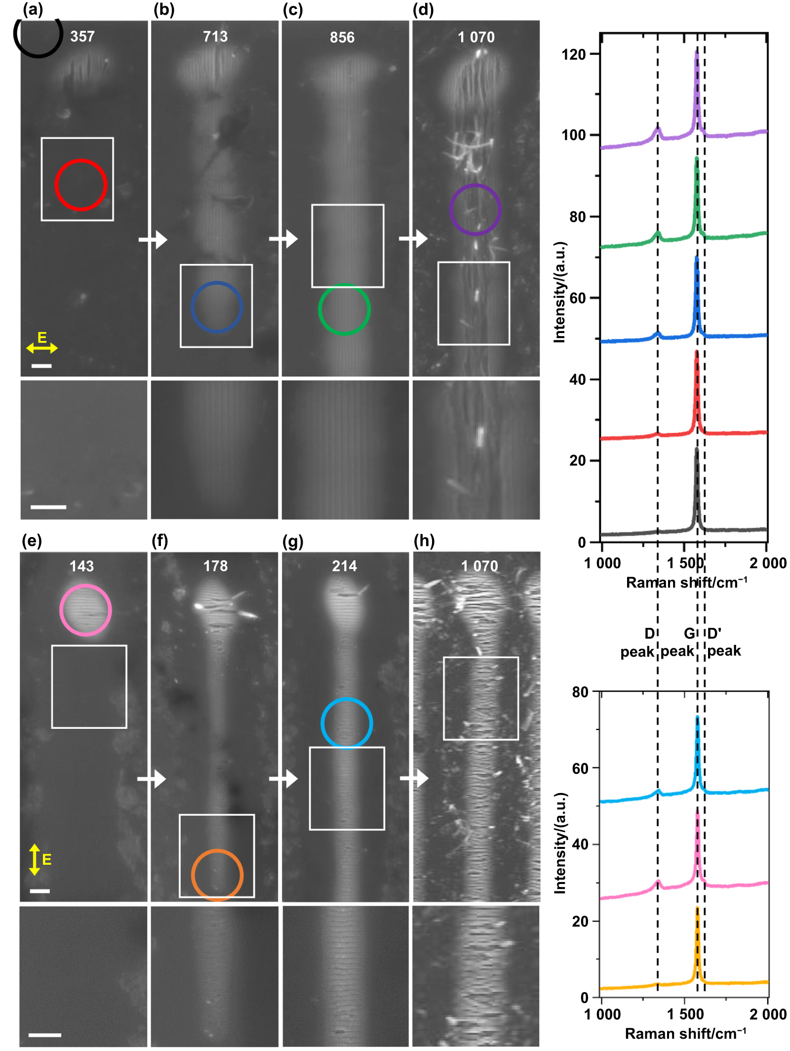 Femtosecond laser-induced sub-50-nm period nanogratings with ultrahigh ...