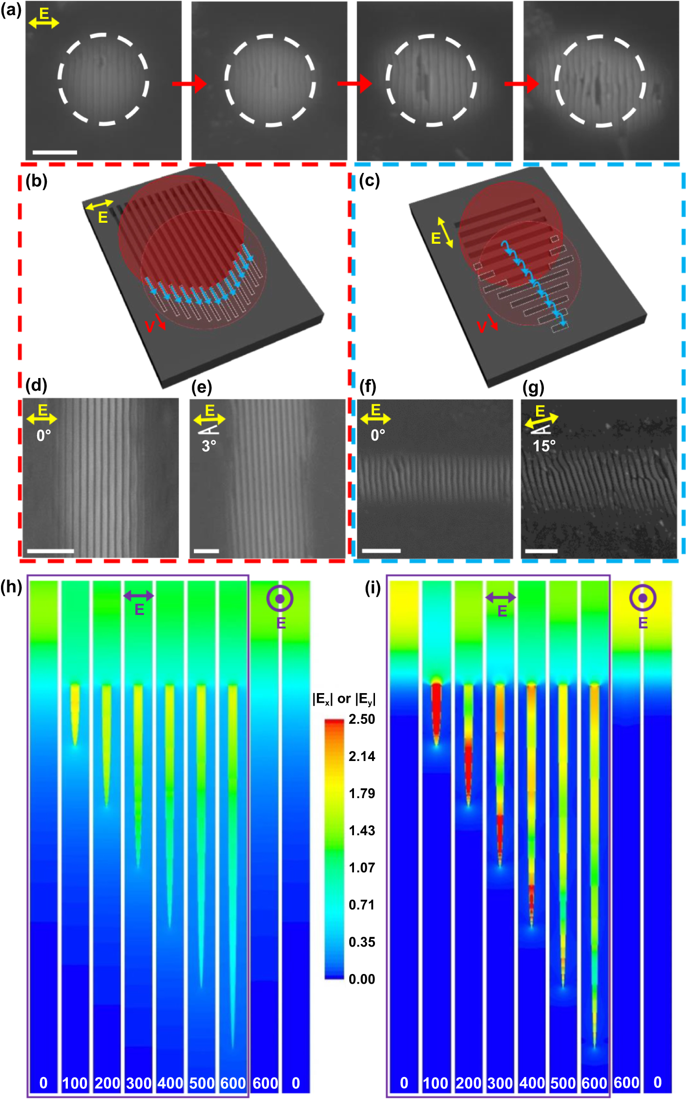 Femtosecond laser-induced sub-50-nm period nanogratings with ultrahigh ...
