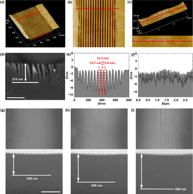 Femtosecond laser-induced sub-50-nm period nanogratings with ultrahigh ...