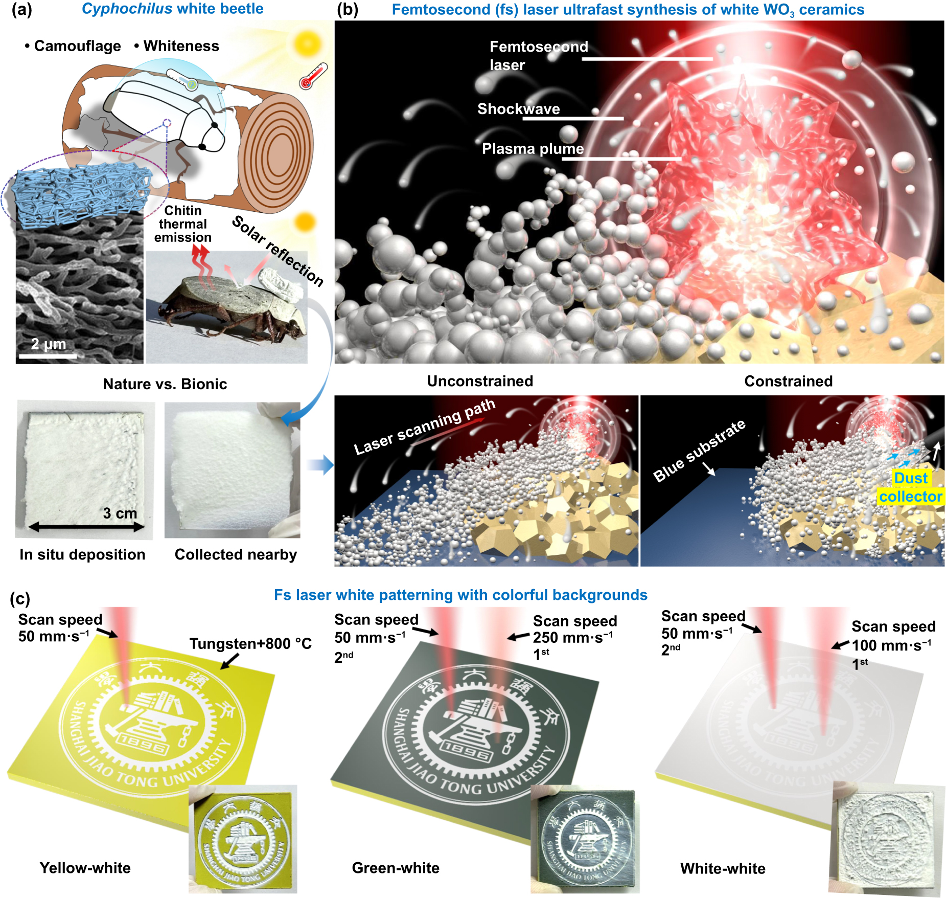 Bionic femtosecond laser manufacturing for impressionistic camouflage ...
