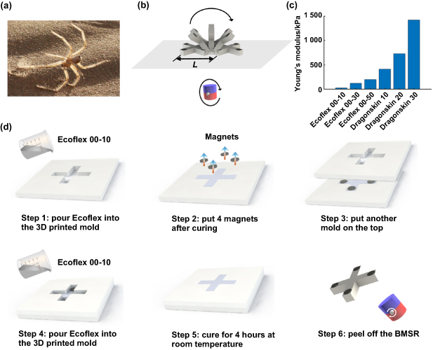 Bio-inspired magnetic soft robots with omnidirectional climbing for ...