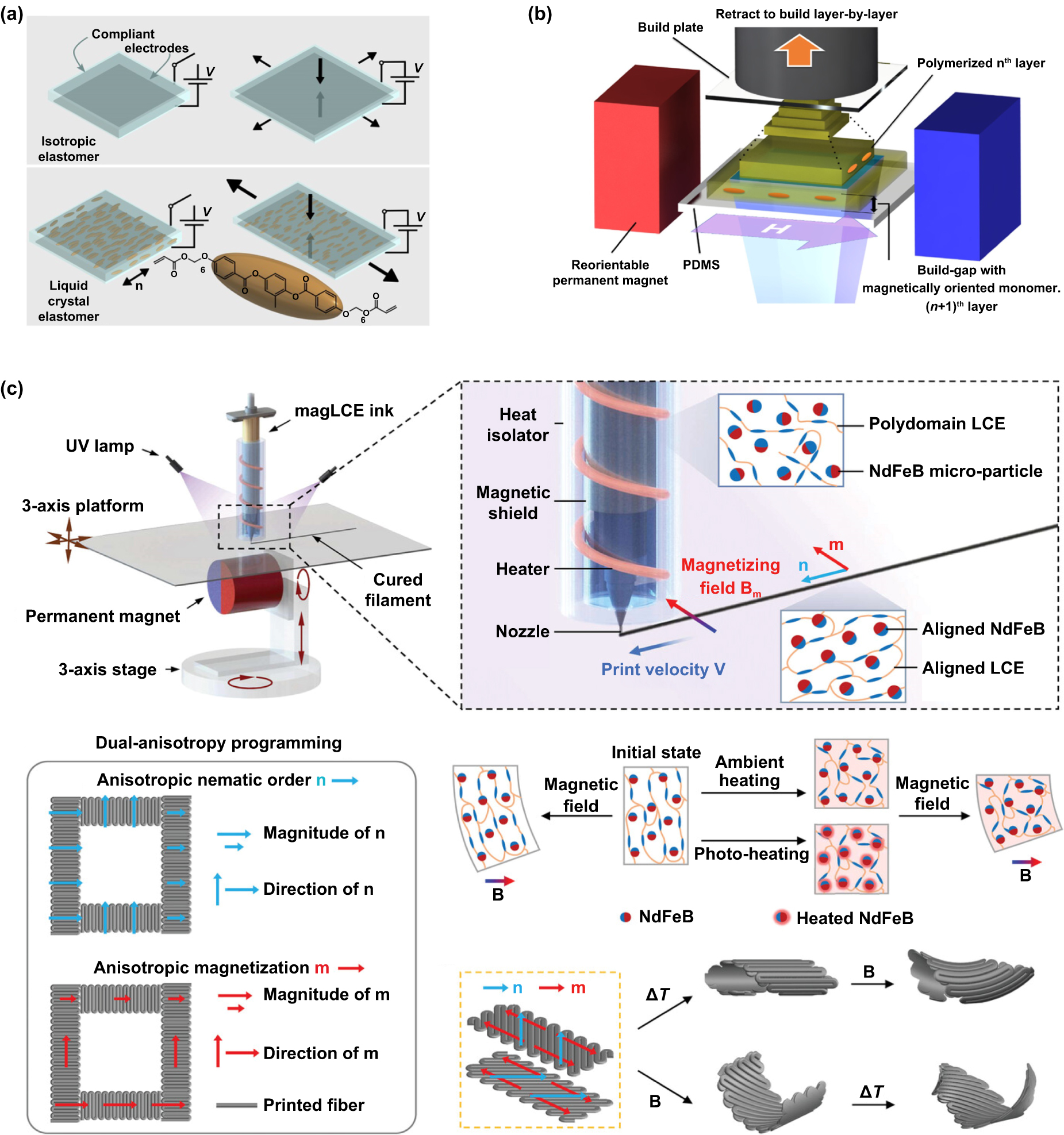 Manufacturing and applications in soft robotics of liquid crystal ...