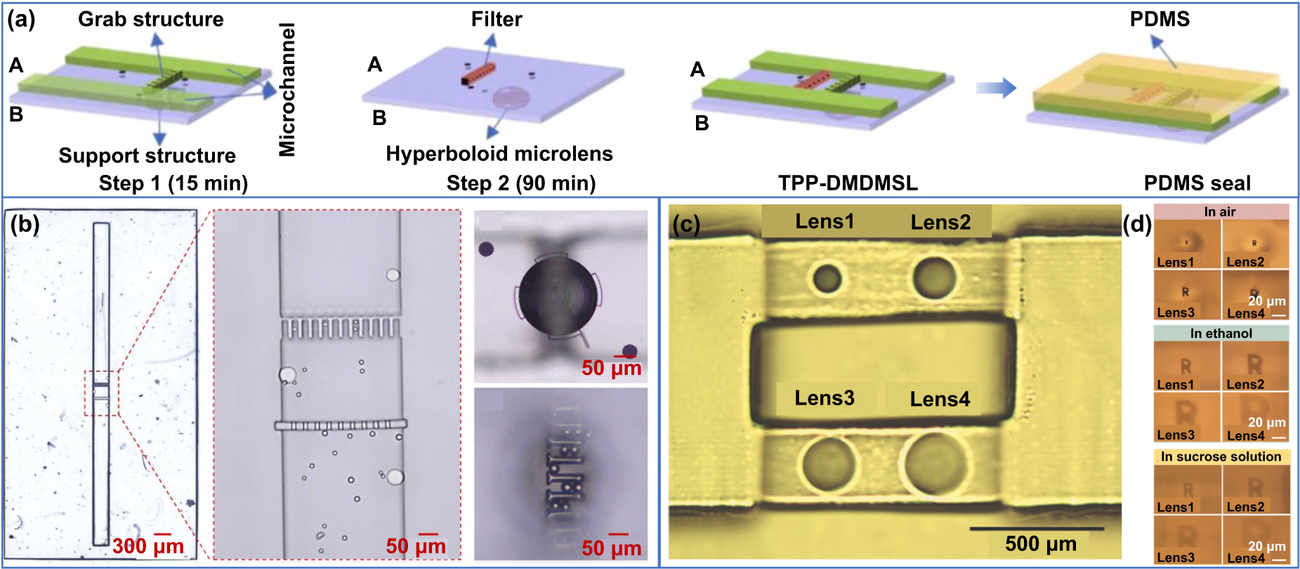 Recent advances in femtosecond direct laser writing of micro-optical imaging components - IOPscience