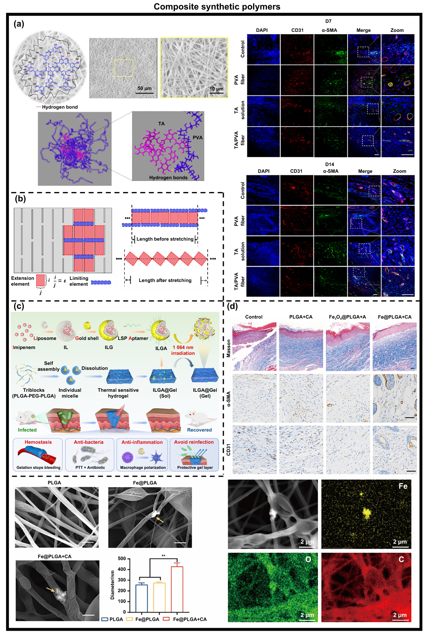 3D bioprinting of in vitro vascularized skin models and in vivo skin ...
