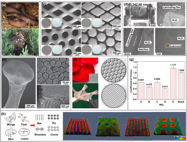 Research progress on bio-inspired composite structures based on ceramic ...