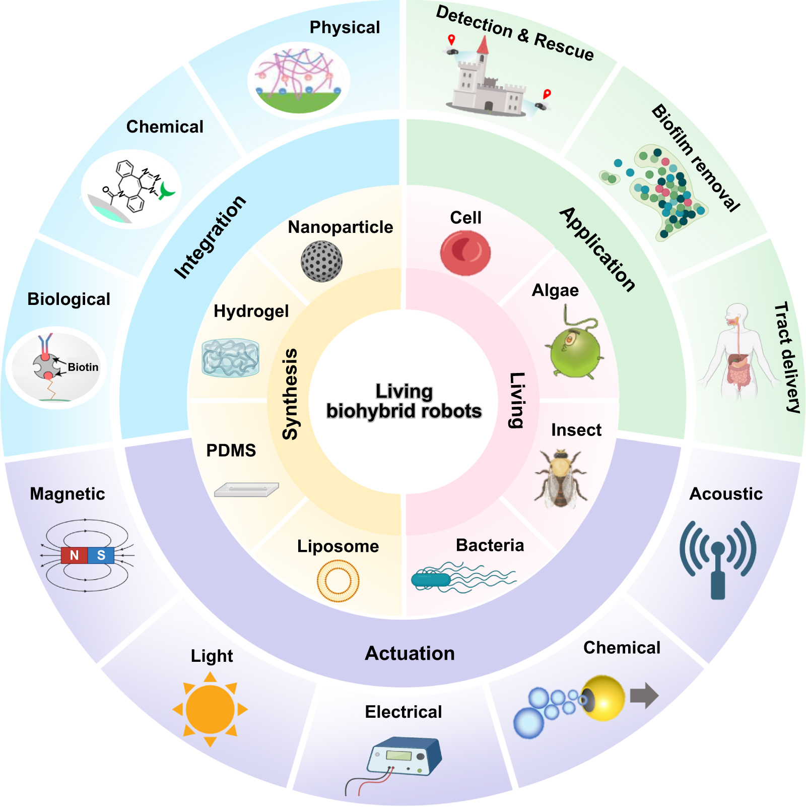 Biohybrid miniature robots using living organisms - IOPscience