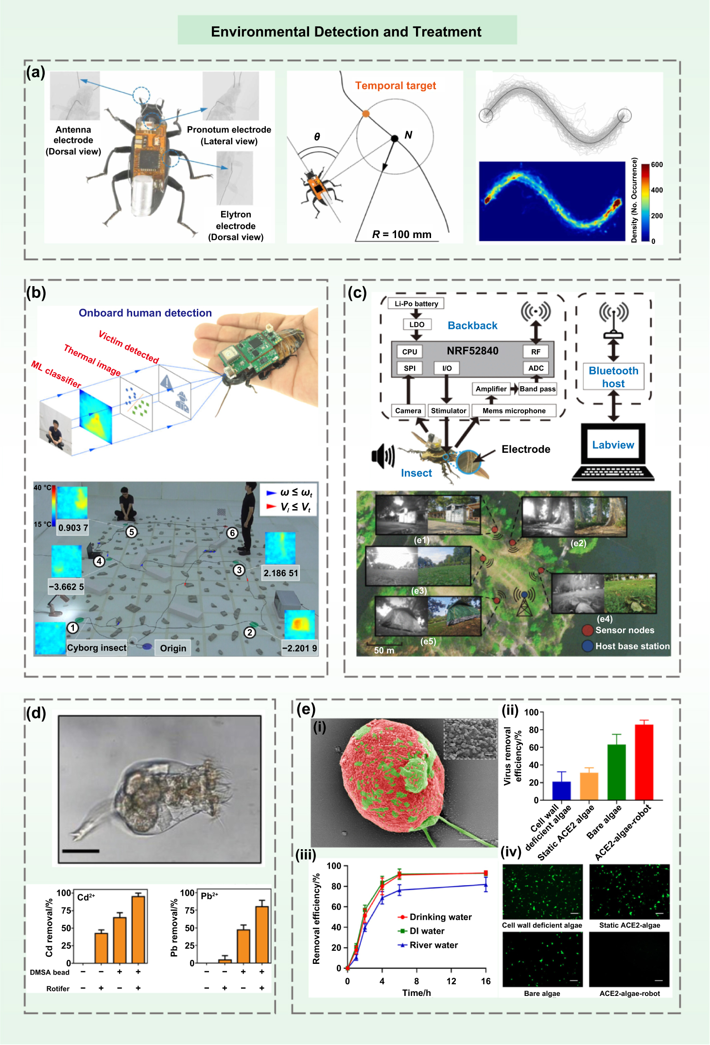 Biohybrid miniature robots using living organisms - IOPscience