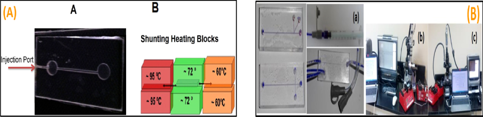 Advances in continuous-flow based microfluidic PCR devices—a review ...