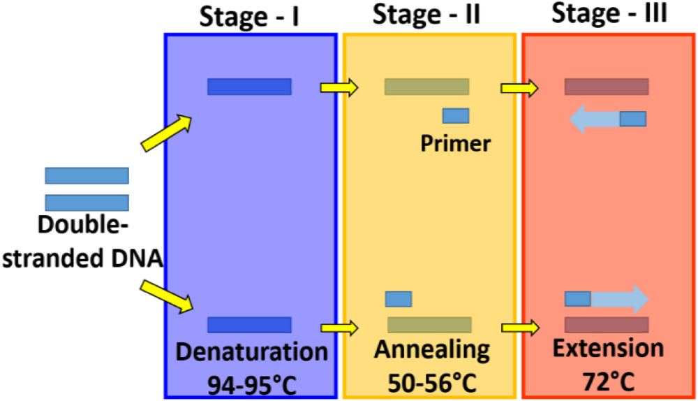 Advances in continuous-flow based microfluidic PCR devices—a review ...