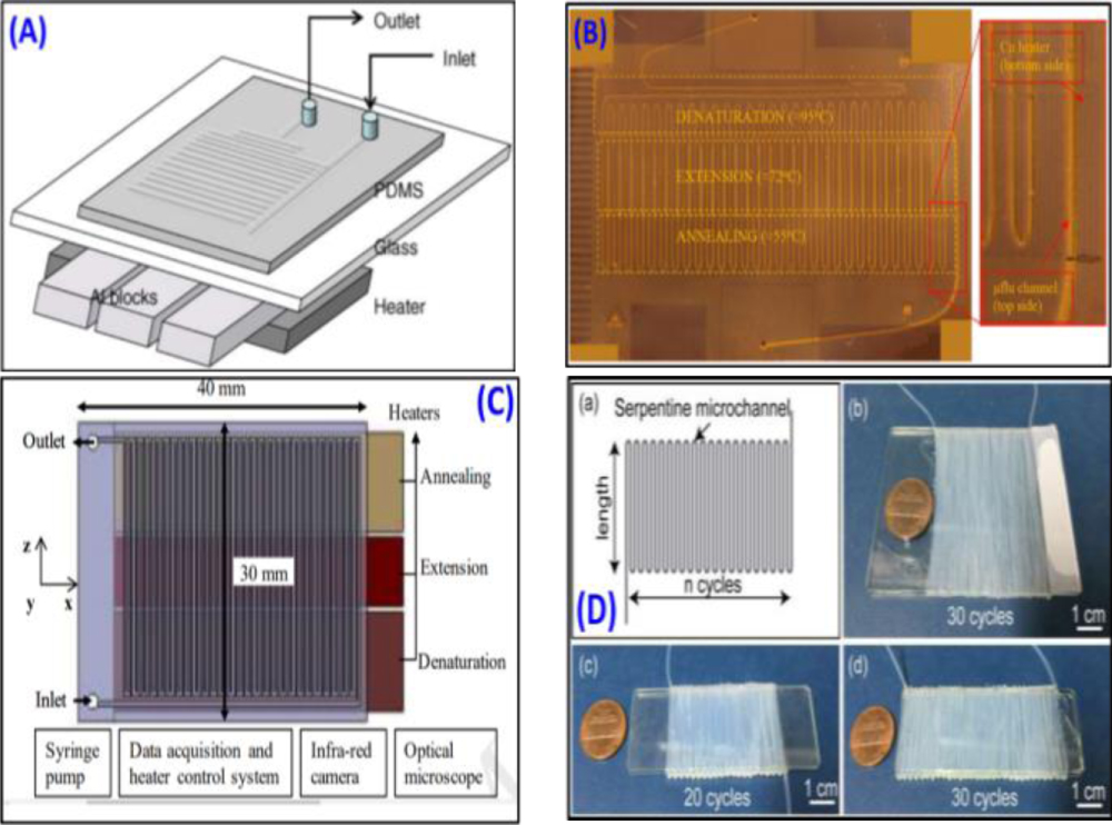 Advances in continuous-flow based microfluidic PCR devices—a review ...