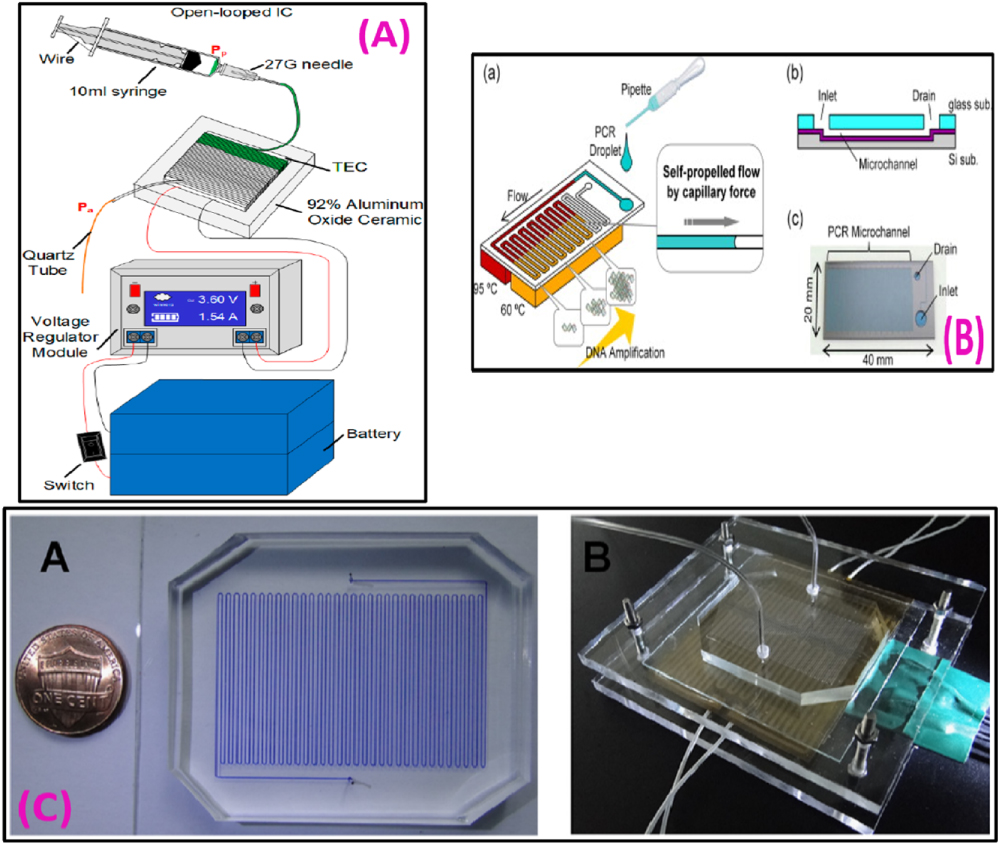 Advances in continuous-flow based microfluidic PCR devices—a review - IOPscience