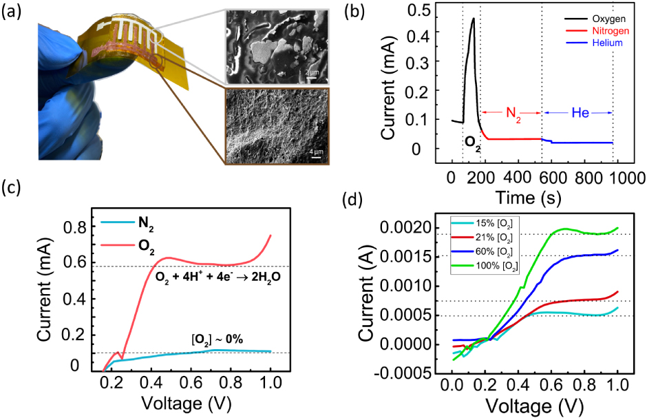 Printable and flexible wireless oxygen sensor - IOPscience