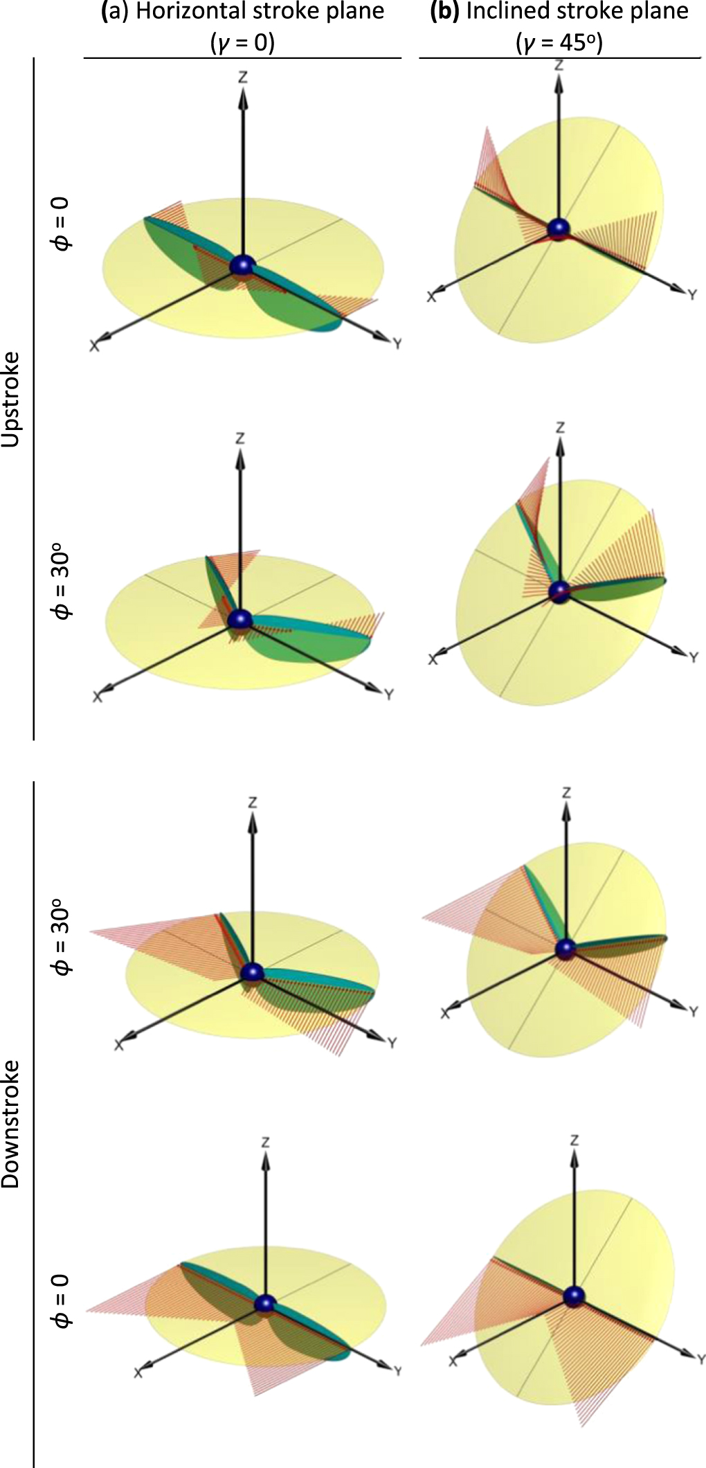 Optimal flapping wing shape and kinematics are different for different ...