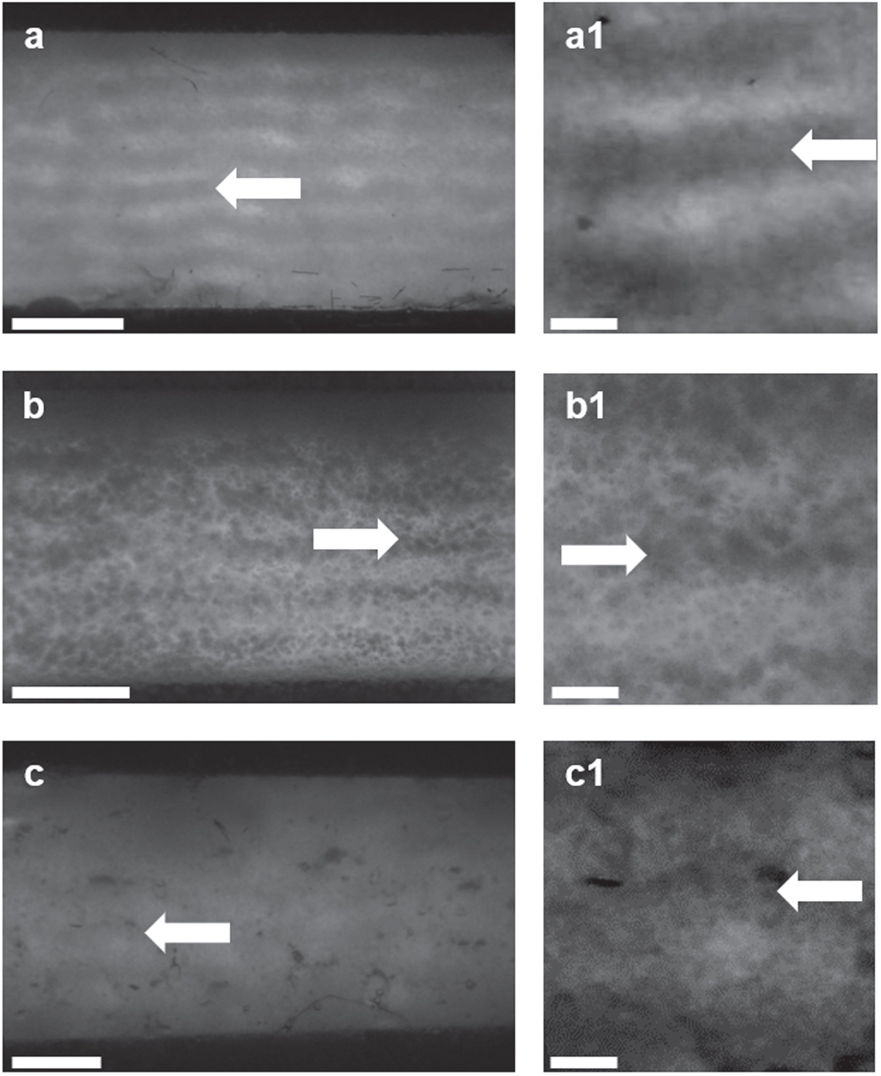 Ultrasonic standing wave chamber for engineering microstructures of ...