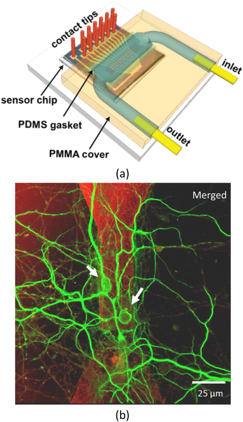 Magnetic sensors-A review and recent technologies - IOPscience