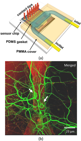Magnetic sensors-A review and recent technologies - IOPscience