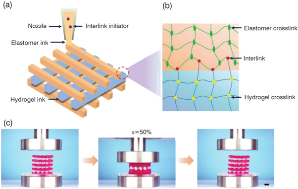 Adhesion strategies for heterogeneous soft materials—A review - IOPscience