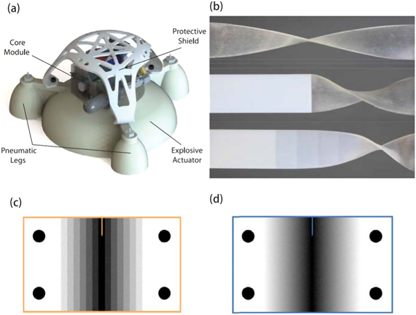 Adhesion strategies for heterogeneous soft materials—A review - IOPscience