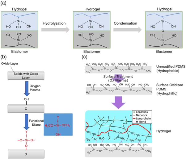 Adhesion strategies for heterogeneous soft materials—A review - IOPscience