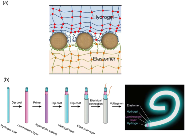 Adhesion strategies for heterogeneous soft materials—A review - IOPscience