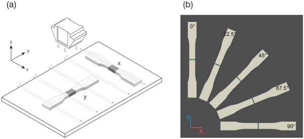 Adhesion strategies for heterogeneous soft materials—A review - IOPscience