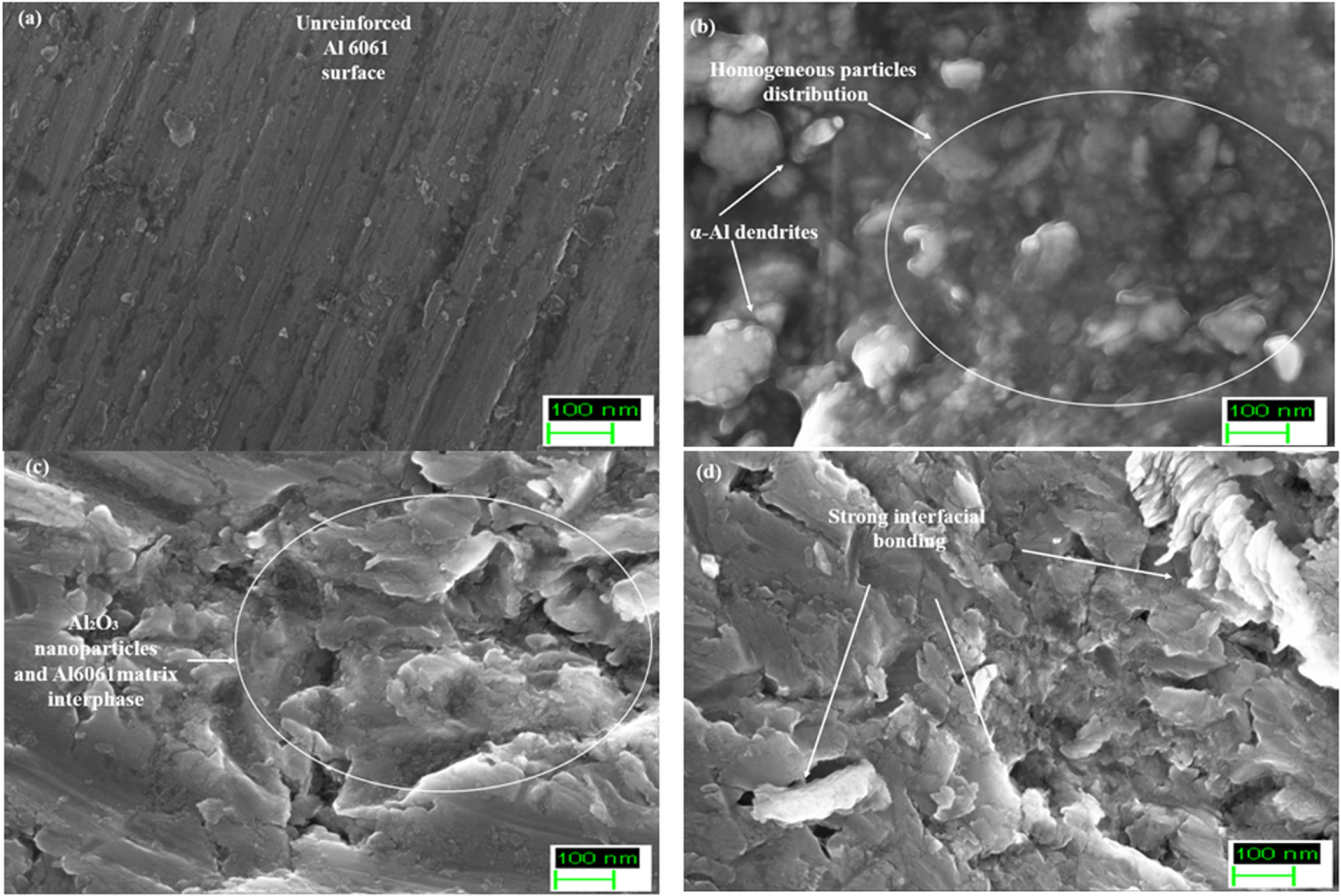 Microstructural observation and mechanical properties behavior of Al2O3 ...
