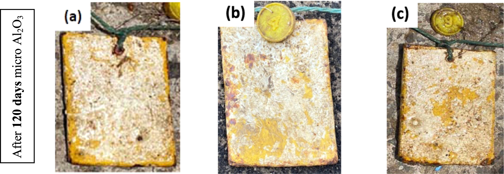 Al2O3 and CuO nano particulate-based paints for marine applications ...